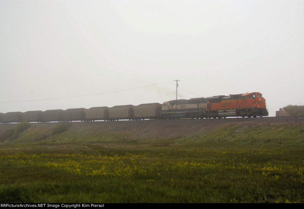 BNSF 9258 Coal Loads